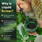 herbal liquid chlorophyll supplement