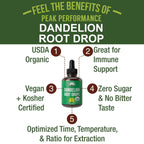herbal liquid dandelion root benefits
