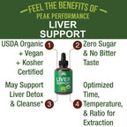 herbal liver cleanse liquid formula