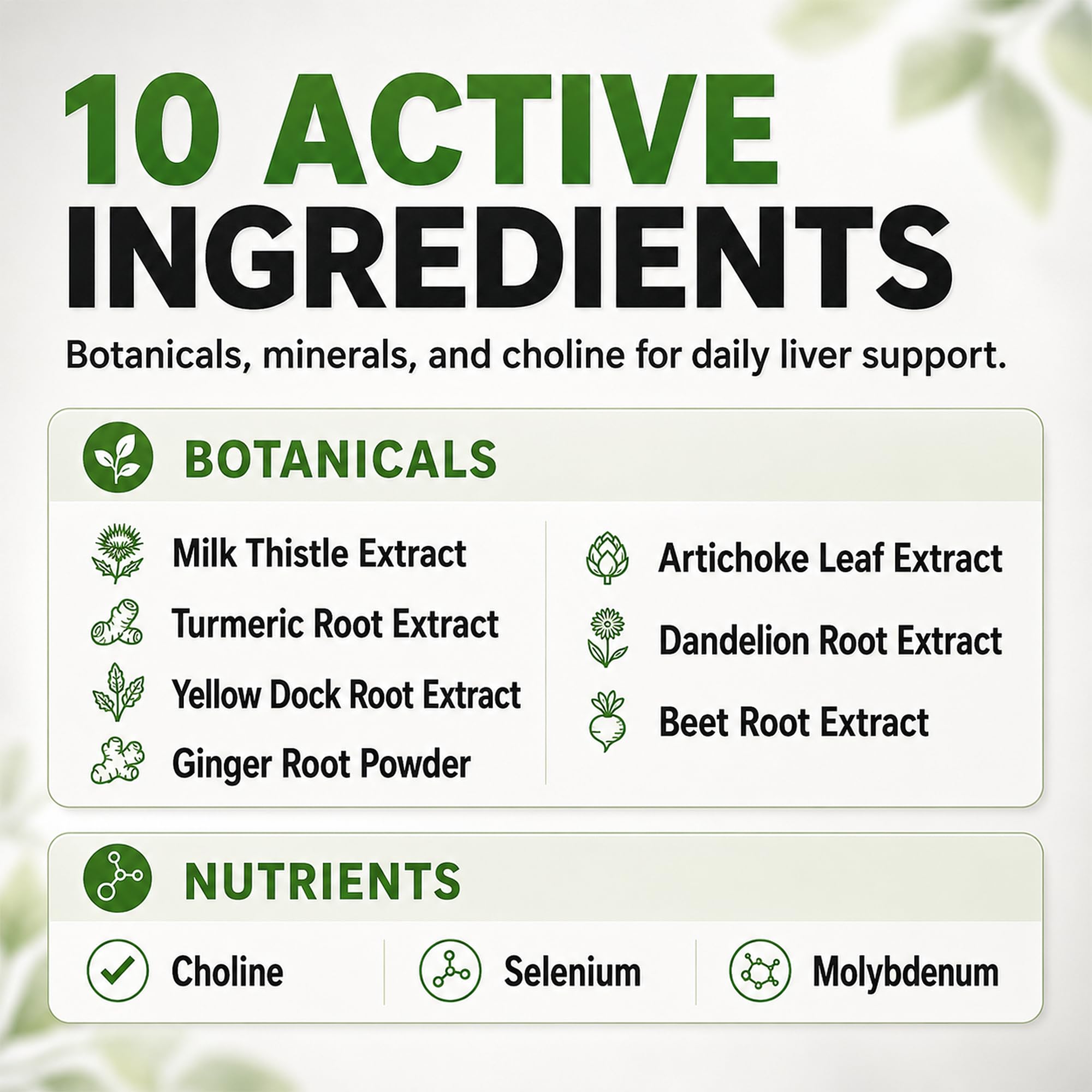 herbal liver health with milk thistle