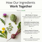herbal liver support milk thistle