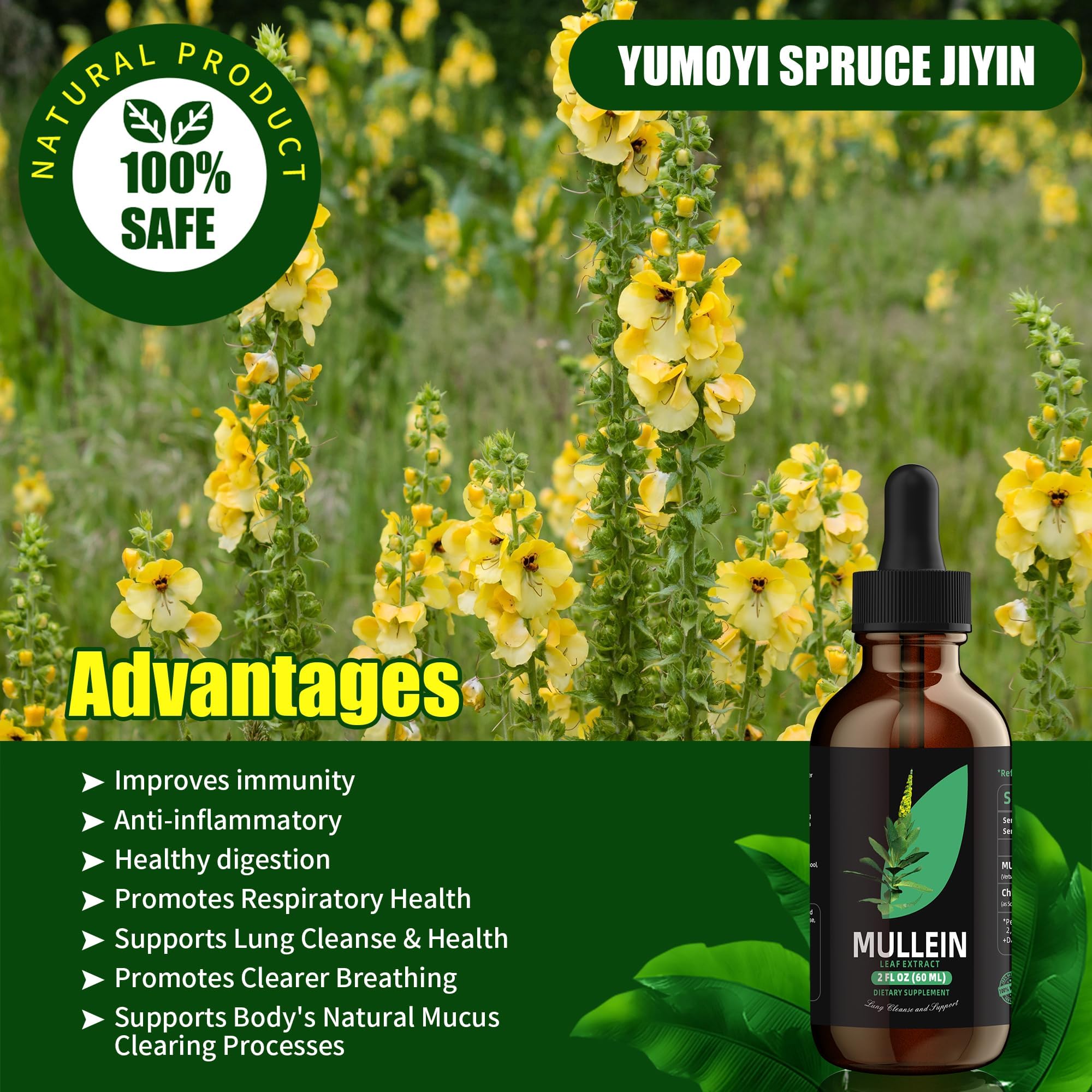 Herbal lung cleanse with Mullein