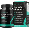 herbal lymphatic support echinacea capsules