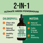 herbal matcha chlorophyll liquid for energy