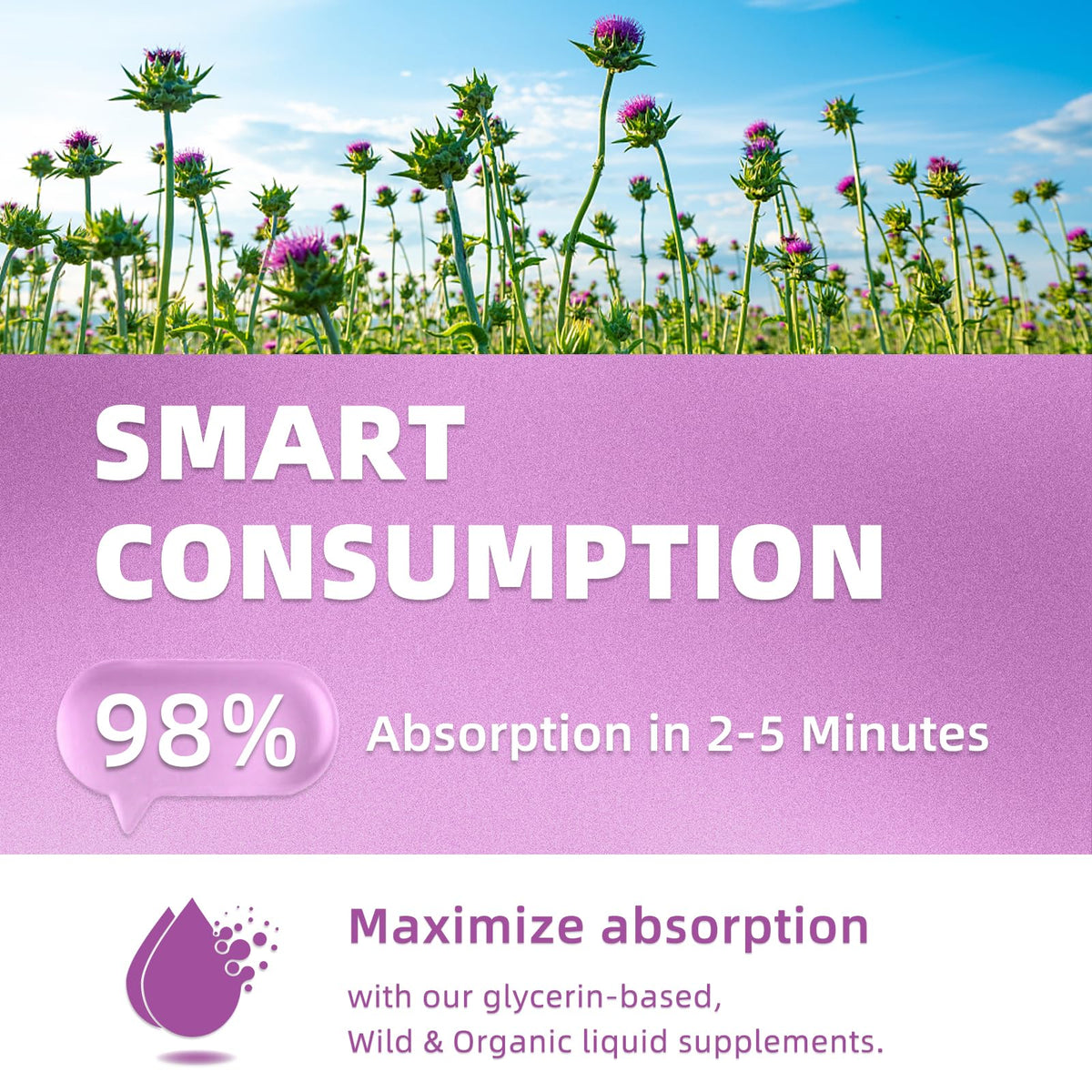 herbal milk thistle extract benefits