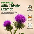 herbal milk thistle for digestive wellness