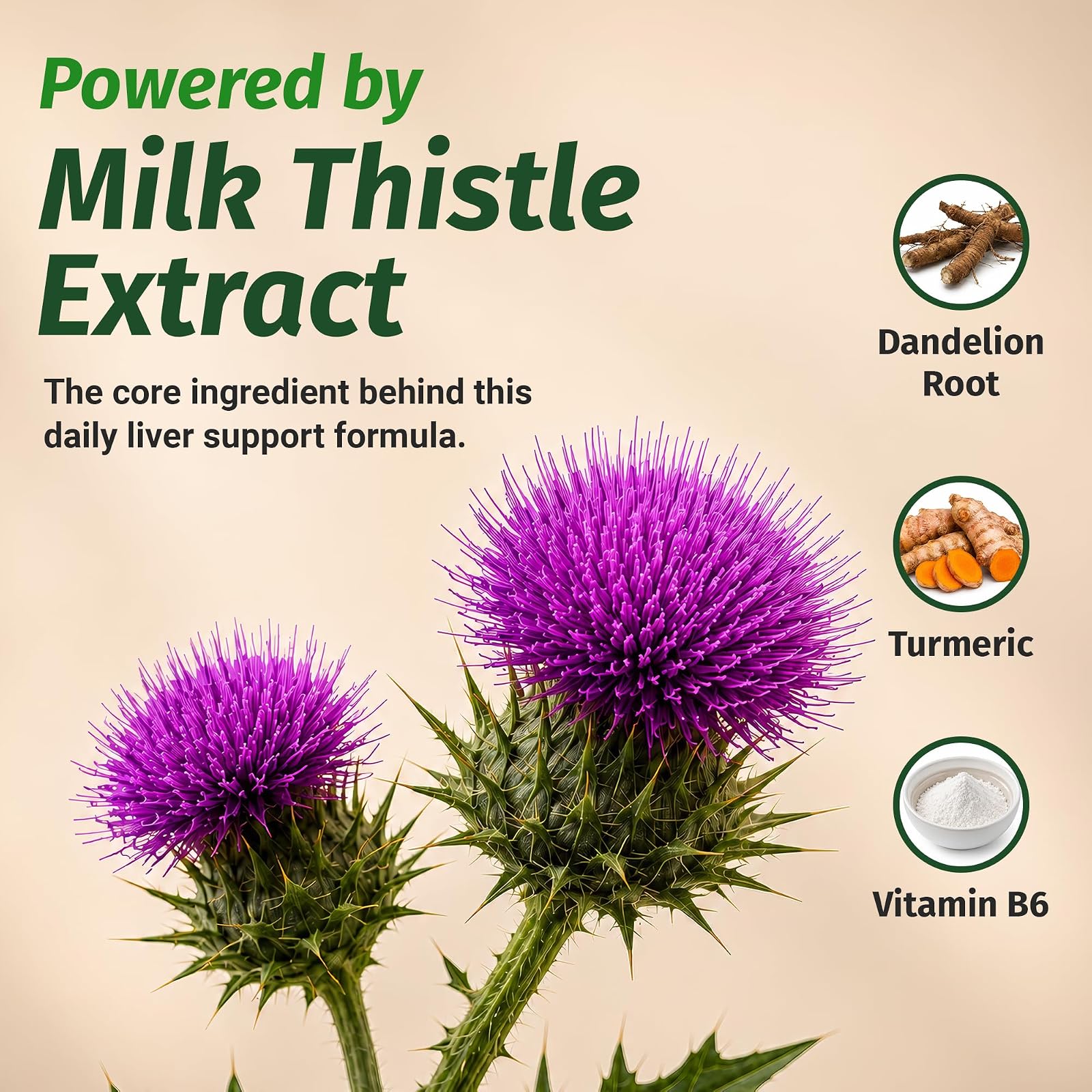 herbal milk thistle for digestive wellness