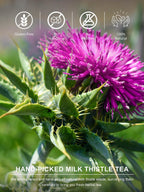 herbal milk thistle for wellness