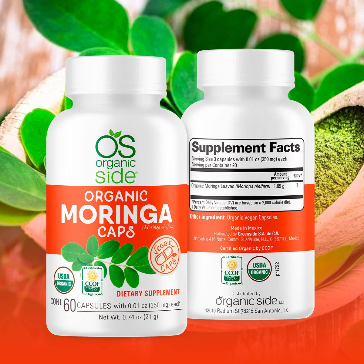 Herbal Moringa capsules for immune support