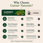 Herbal Moringa capsules for vitality