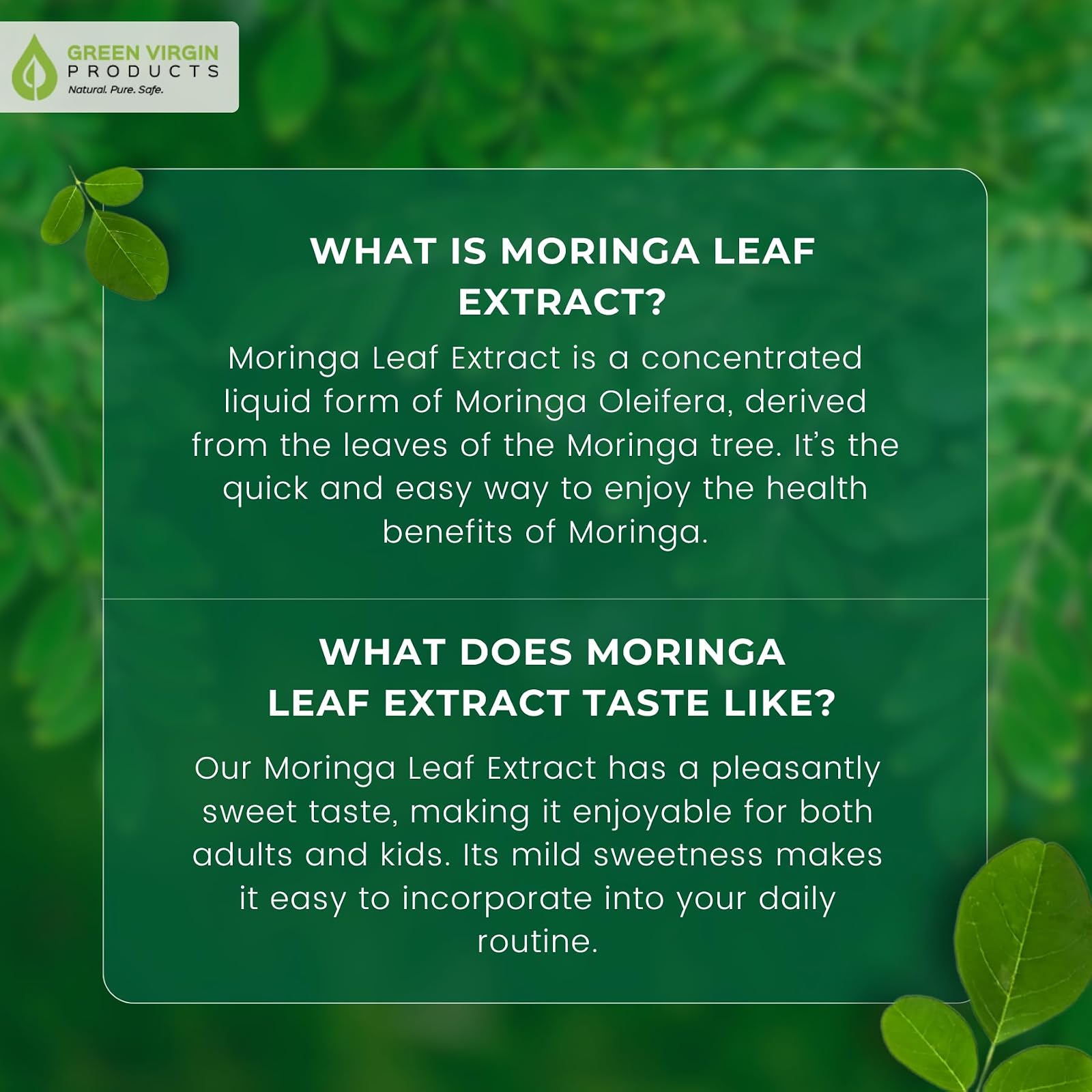 herbal moringa extract for wellness