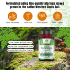 herbal moringa for daily nutrition