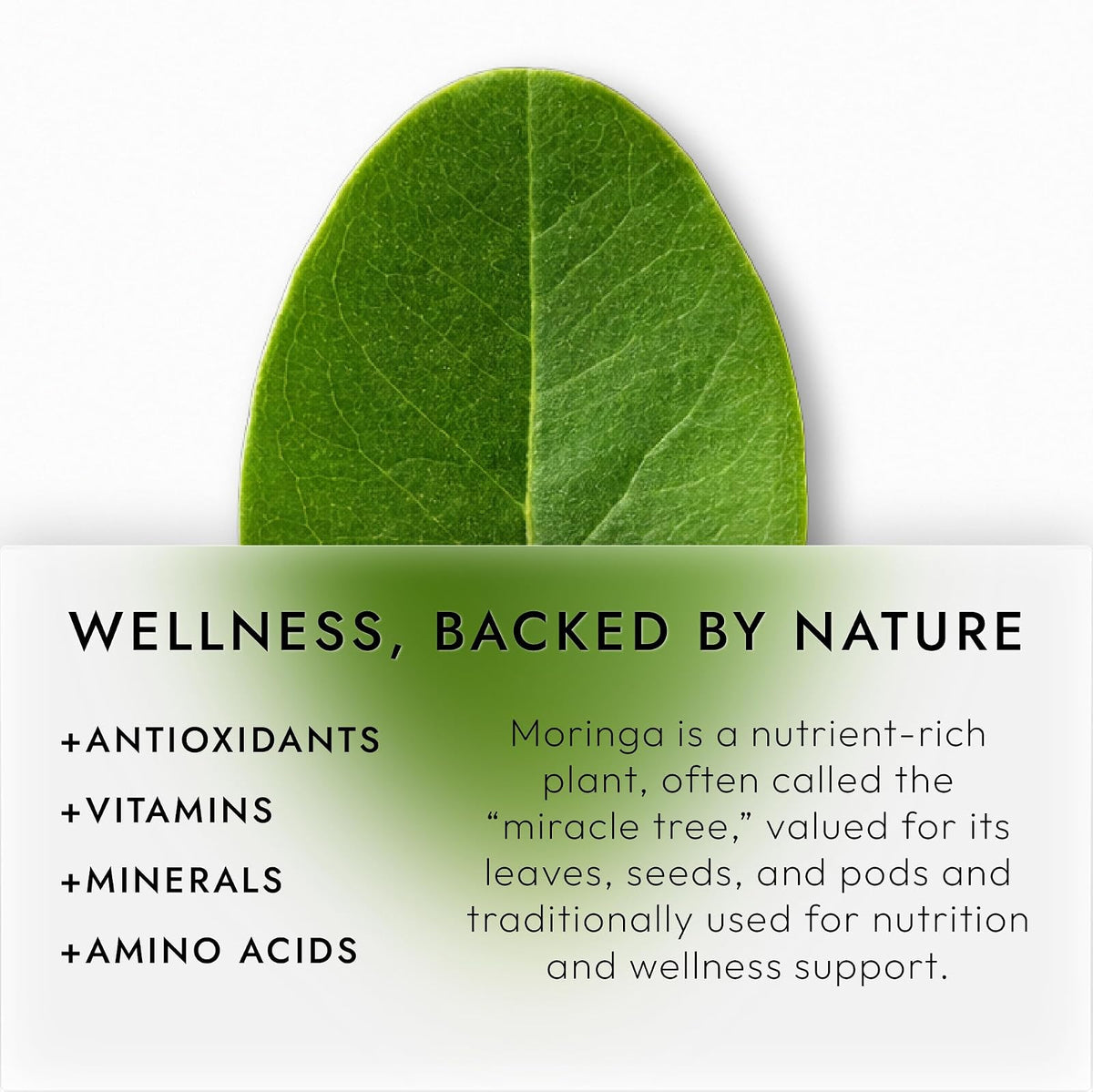 Herbal Moringa leaf for vitality