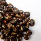 Herbal Mucuna Pruriens for energy boost