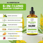 herbal mullein drops for immune support