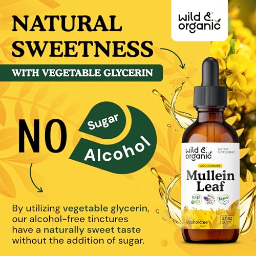 Herbal Mullein Drops for lung wellness
