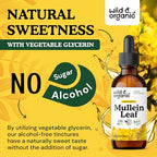Herbal Mullein Drops for lung wellness