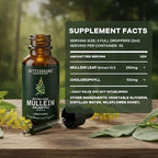 Herbal Mullein Drops for respiratory health