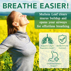Herbal Mullein extract for wellness
