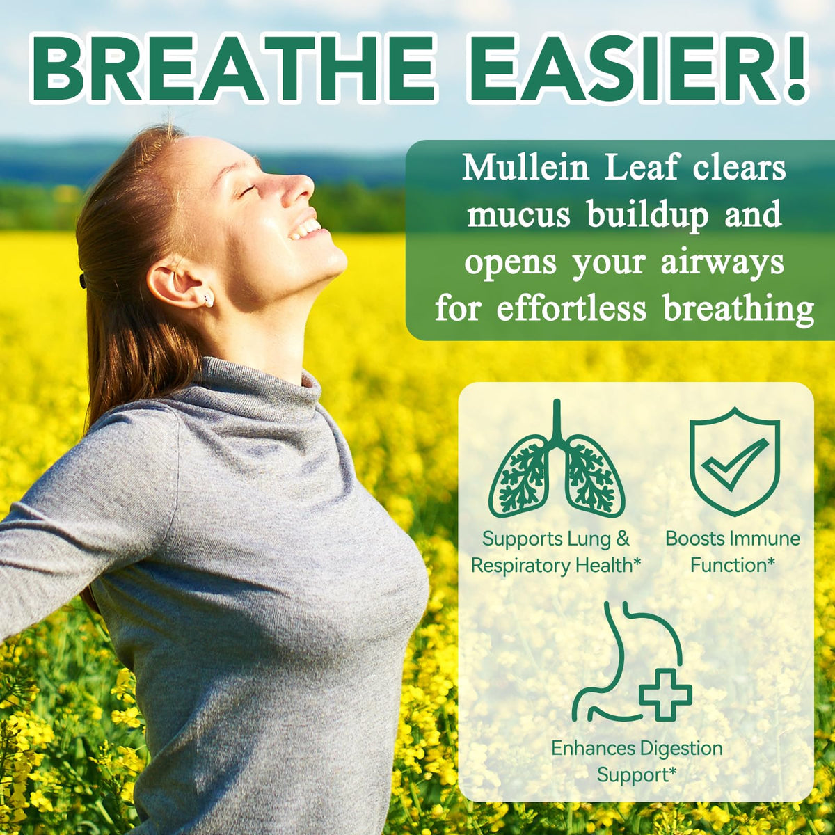 Herbal Mullein extract for wellness