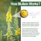 Herbal Mullein gummies for easy digestion