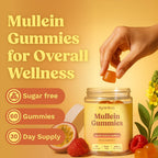 Herbal Mullein gummies for everyday vitality