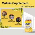 Herbal Mullein gummies for immune boost