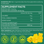 Herbal Mullein supplement for daily use