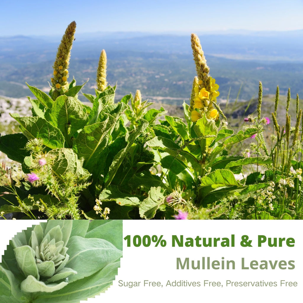 Herbal Mullein Tea bags for soothing relief