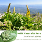 Herbal Mullein Tea bags for soothing relief