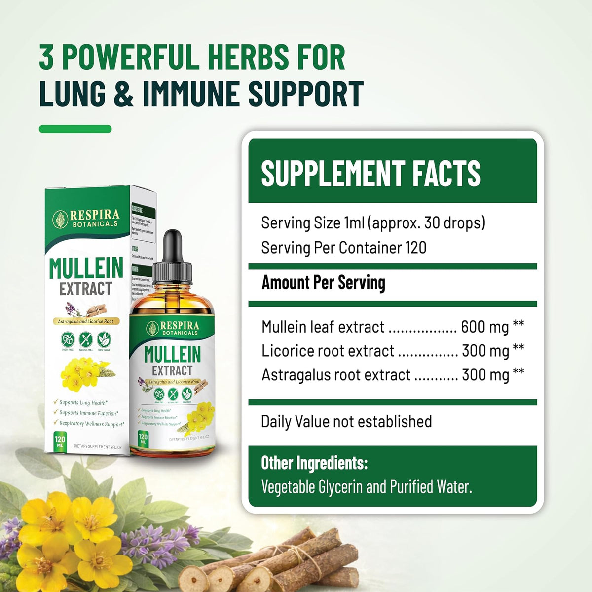 Herbal Mullein tincture for vitality