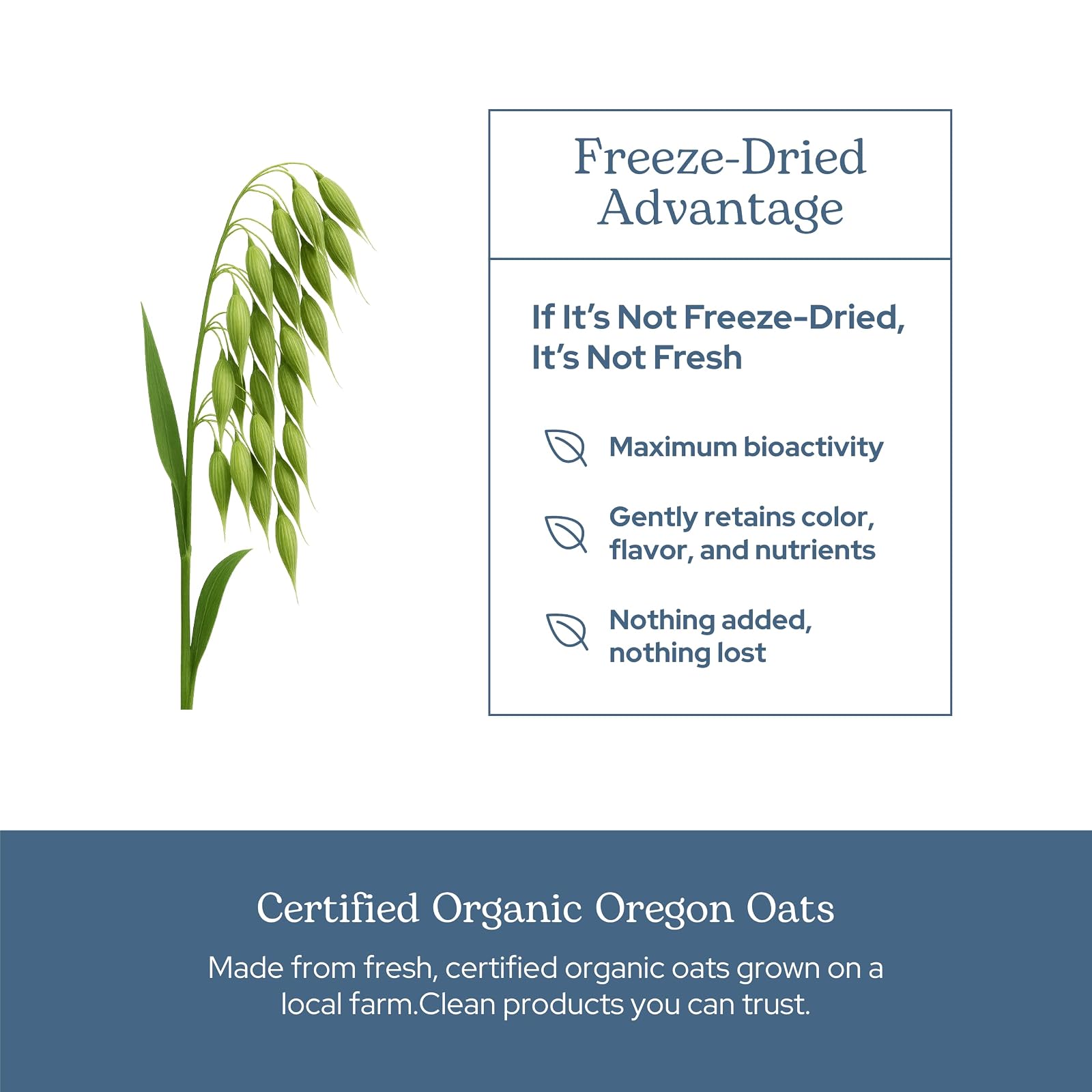 herbal multivitamin for wellness
