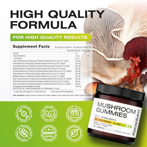Herbal mushroom blend for holistic health