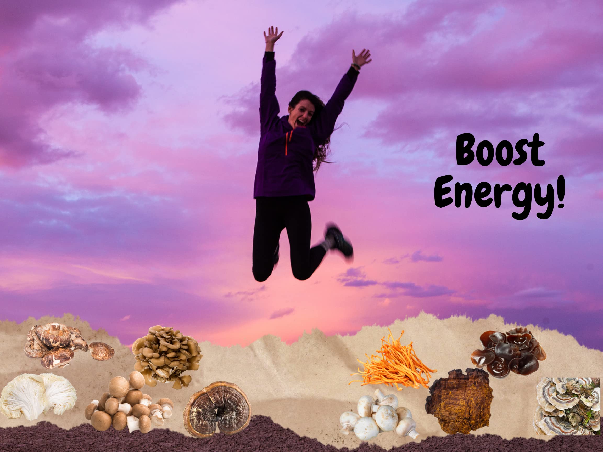 Herbal mushroom blend for overall wellness