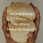 Herbal mushroom blends for evening rituals