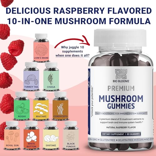 herbal mushroom gummies for cognitive health