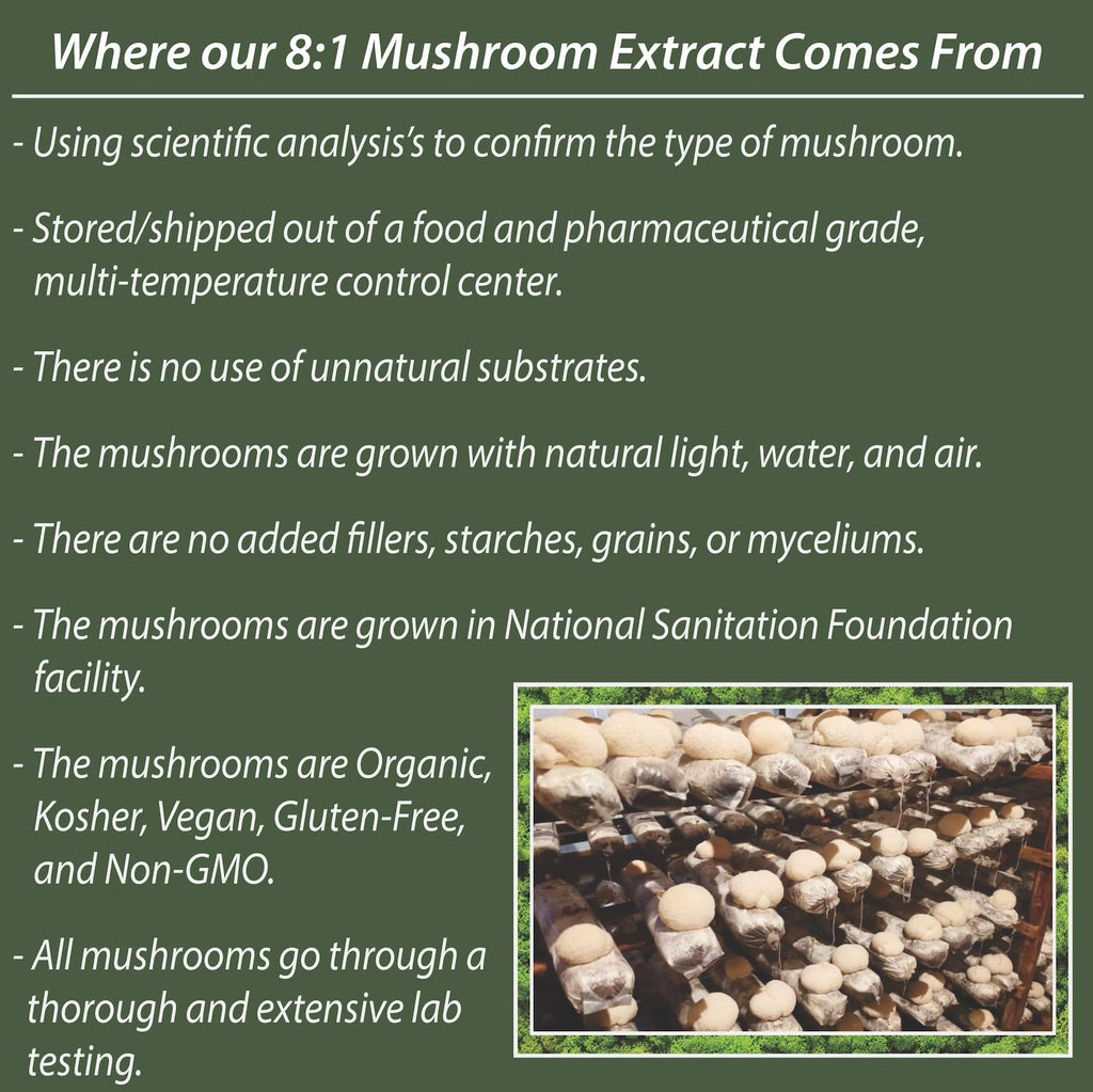 Herbal mushroom gummies for healthy living