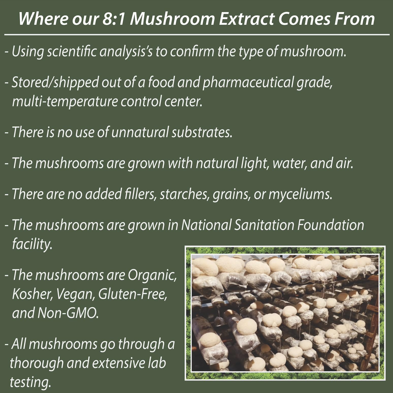 Herbal mushroom gummies for healthy living