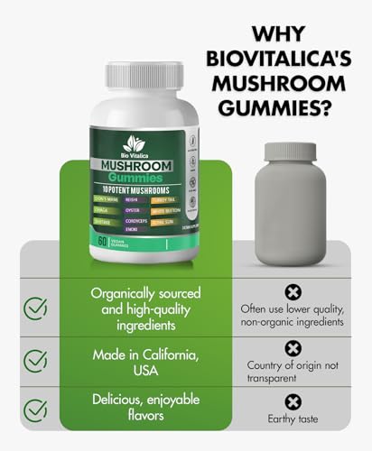 herbal mushroom gummies for holistic health