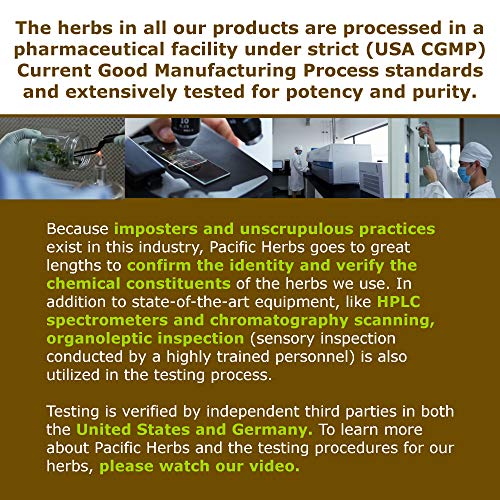 herbal mushroom remedy for wellness