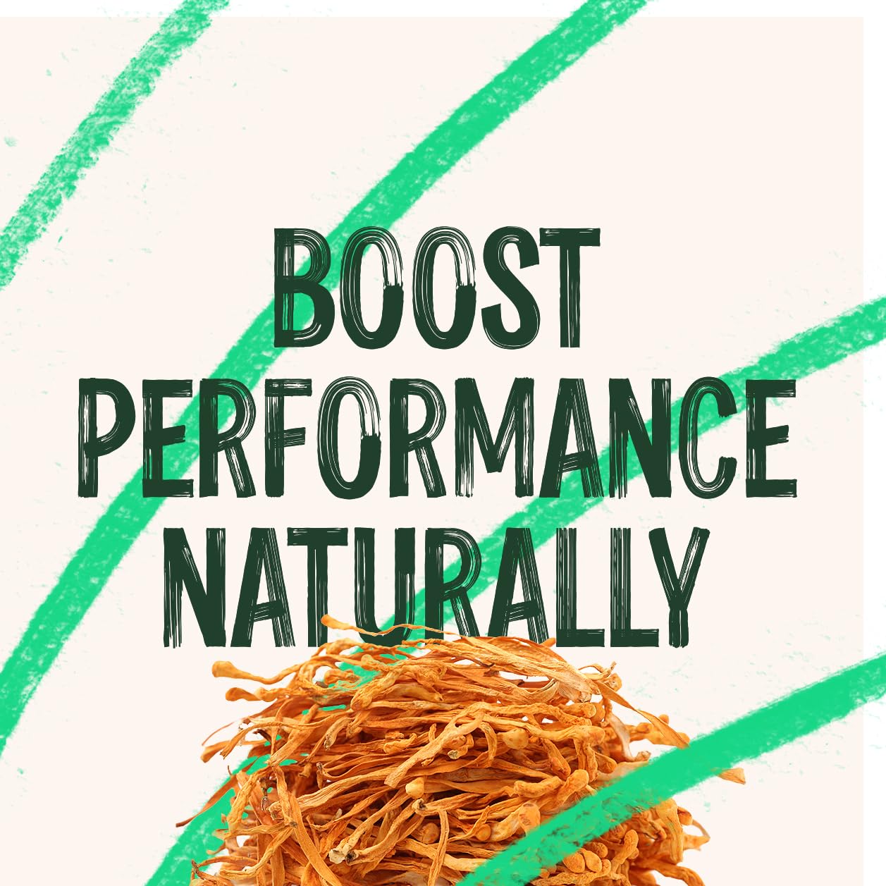 herbal mushroom supplement for athletes
