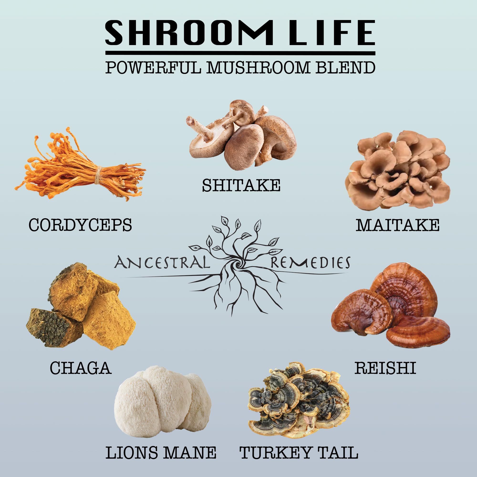 herbal mushroom supplement for balance