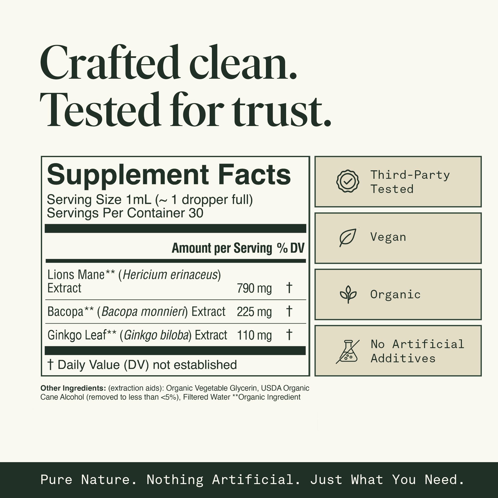 Herbal mushroom supplement for cognitive health