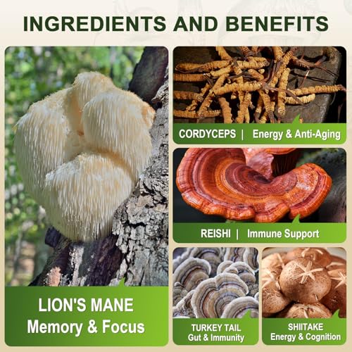 Herbal mushroom supplement for daily health