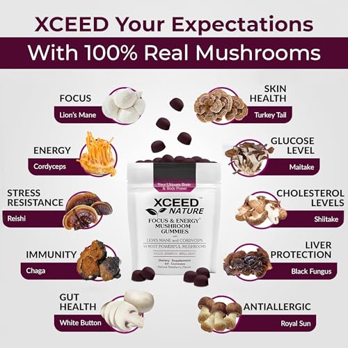 Herbal mushroom supplement for daily wellness