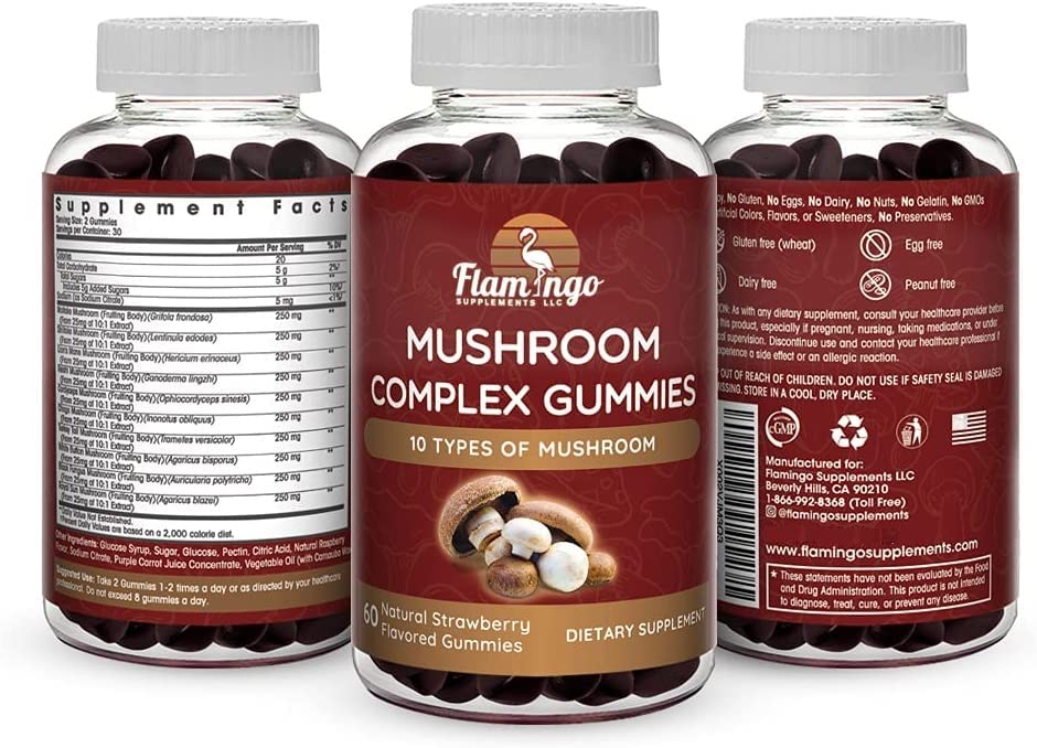 Herbal mushroom supplement for overall wellness