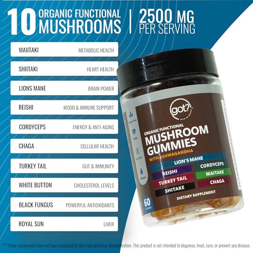 herbal mushroom supplement for stress relief