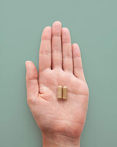 herbal mushroom supplement for vitality