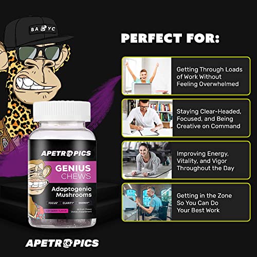 herbal mushroom supplement for wellness