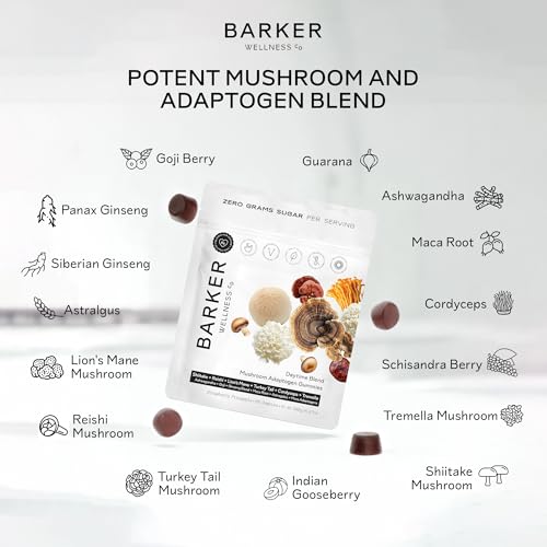 herbal mushroom supplements for energy